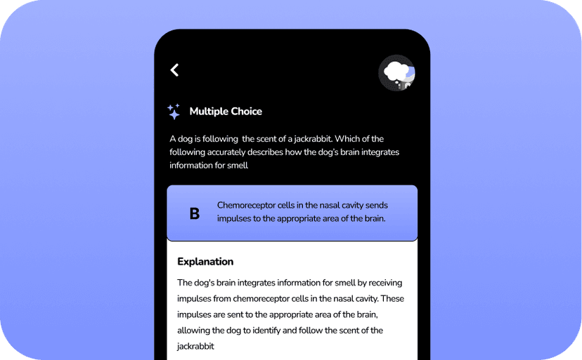 AI Homework Helper | Coursology